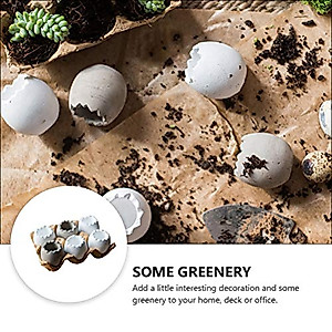 Egg Shell Succulent Flowerpot Desktop Stand Small Succulent Pots Bonsai Pots Planters for Indoor Plants Porcelain Plant Pots Flower Decor Concrete Nursery Earth Tones Office