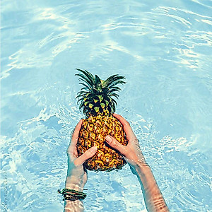 PURE FIJI Body Lotion Hydrating - Moisturizing Lotion for Dry Skin with Coconut Milk and Vitamin E, Organic Body Lotion For Women and Men, Pineapple Scent, 12 oz