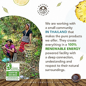 Nature Sustained Organic Conditioner - Hypoallergenic, Chemical-Free, Sulfate Free Natural Conditioner for Dry or Damaged Hair, Raw Probiotic Hydrating Soapberry Formula, Gallon, Original