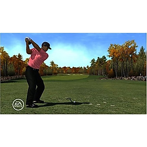 Tiger Woods PGA Tour 08 - Playstation 3 (Renewed)