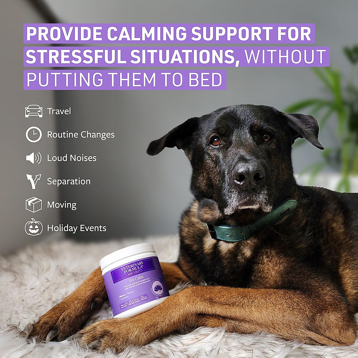 Veterinary Formula Smart Vitality Pet Calm Supplement for Dogs - Soft Chews, 30ct - Promotes a Sense of Relaxation During Moments That May Cause Stress - Fireworks, Travel, Changes in Routine