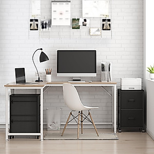 Raybee File Cabinets for Home Office 2 Drawer File Cabinet Filing Cabinets for Home Office Small File Cabinet on Wheels Office File Cabinets Fabric,for Letter/Legal / A4