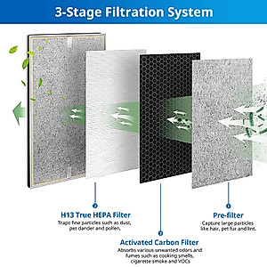 HE601 HEPA Replacement Filter Compatible with Shark Air Purifier 6-Fan Models HE601& HE602, H13 True Premium HEPA Filter, Compare to Part # HE6FKPET, HE6FKBAS, HE6FKPRO, 2 Pack