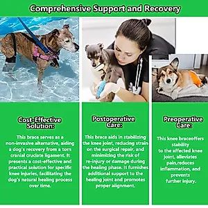 Premium Dog ACL Knee Brace for Torn ACL Hind Leg Support - Cruciate Care & Recovery, Adjustable Leg Braces for Back Leg, Hip Support - Small, Medium, Large Sizes with Extra Stabilizers (Black, L)