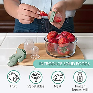 Little Twig Baby Fruit Feeder Pacifier Teether | Baby Food Freezer Tray with Lid | BPA Free Silicone Freezable Teether | Feeding Set for Breast Milk Ice Cubes, Baby Food, Vegetable Fruit Purees