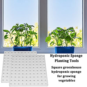 Eshylala 400 PCS Hydroponic Sponge Planting Tool Square Seedling Sponges Greenhouse Hydroponic Sponge Hydroponic Vegetable Planting Sponge for Small Bud Growth