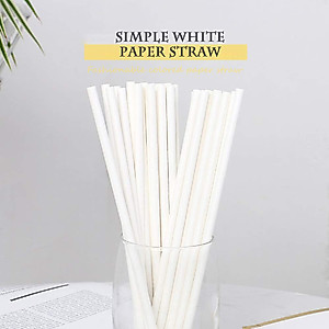 JITUUE Paper Straws Individually packaged - Eco-Friendly Party Supplies in Bulk for Restaurants - Perfect for Juices, Shakes, Smoothies, Ice Coffee & More(White,200 pcs）