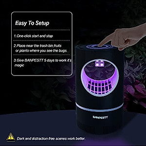 BANPESTT Fruit Fly Traps for Indoors - Bugs Trap Catcher & Killer for Mosquito, Gnat, Moth - Catch Flying Insect with Attractive Lighting,Suction & Sticky Glue Board(Black)