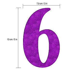 60 Never Looked So Good Purple Glitter Banner - 60th Birthday Decorations and Supplies