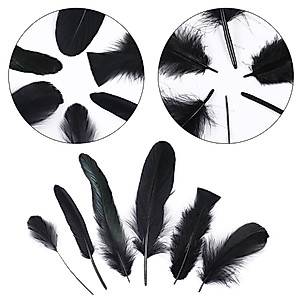 Larryhot Black Craft Feathers Bulk - 240pcs 6 Style Mixed Natural Feathers for Wedding Home Party, Dream Catcher Supplies and DIY Crafts (Black)