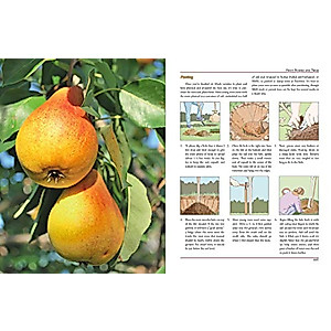 The Illustrated Encyclopedia of Country Living: Beekeeping, Canning and Preserving, Cheese Making, Disaster Preparedness, Fermenting, Growing ... Raising Livestock, Soap Making, and more!