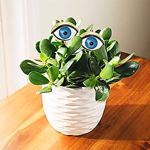 Tuitessine Resin Plant Eyes Stakes Set of 2, Eyeball Garden Plant Accessory, Evil Eye Plant Picks, Indoor Outdoor Plant Pot Decoration, Novelty Gift for Plant Lover, Plant Mom, Plant Lady