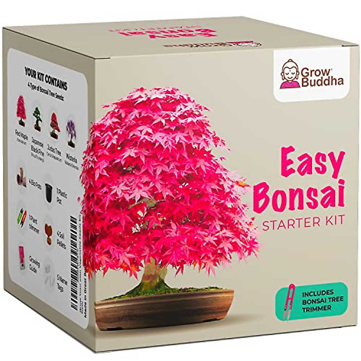 Grow Your Own Bonsai kit | Tree Plants & Seeds | Crafts Hobby Kits ...