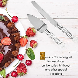 Homi Styles Cake Knife and Server Set | Acrylic Faux Crystal Handles & Premium 420 Stainless Steel Blades | Cake Cutting Set for Wedding Cake, Birthdays, Anniversaries, Parties (Crystal Silver)