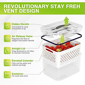 LUXEAR 5PCS Fruit Storage Containers For Fridge, Produce Vegetable Saver Container with Lid Colander Vent Handle, BPA-Free Refrigerator Microwave Dishwasher Safe, Keep Fruits Veggie Food Meat Fresh