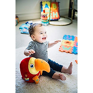 Vocabularry Interactive by babyfirst tv - Interactive Toy, Stuffed Animal Plush Toy, A for Baby's First Birthday or Baby Shower, Infant…
