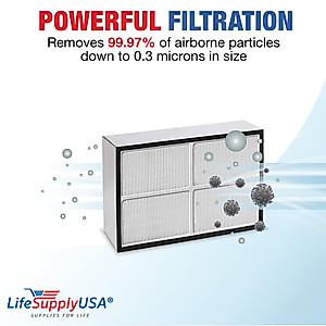 LifeSupplyUSA HEPA Filter Replacement Compatible with Hunter 30938 QUIETFLO Models 30115, 30145, 30170, 30175, 30185