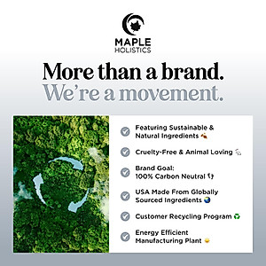 Silk18 Sulfate Free Shampoo and Conditioner Set - Hydrating Moisturizer with Shea Butter, Jojoba and Argan Oil for Frizzy, Damaged Curly Hair and Dry Scalp