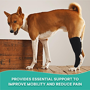 Dog Rear Leg Braces - Braces for Back Legs - Medium-Sized Dog Ankle and Small Dog Knee - Leg Sleeve, Hock and Ankle Support - Joint Wrap Compression Brace for ACL Tear - Canine Broken Leg Protector -