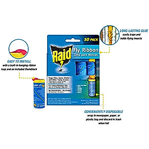 Raid Fly Ribbon, Fly Traps for Indoors and Outdoors, Bug Trap for Flying Insects, Pack of 10