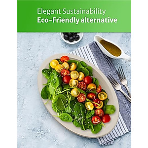 Teoox 100% Compostable Oval Plates Biodegradable Plates, BPI-Certified Eco Paper Plates, Bagasse Platter Plates, Recyclable Paper Plates, Sugarcane Plates (12.5 Inch - 40 Count)