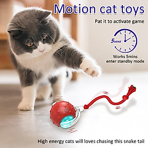 Giociv Interactive Cat Toys Ball for Indoor Cats Fast Rolling on Carpet, Chirping & Motion Activate Cat Toys (Red)