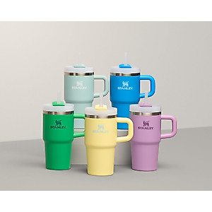 Stanley Quencher H2.0 Tumbler with Handle and Straw 14 oz | Flowstate 3-Position Lid | Cup Holder Compatible for Travel | Insulated Stainless Steel Cup | BPA-Free | Azure