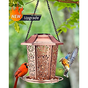 Solar Bird Feeders for Outdoors Hanging - Premium Grade Metal Bird Feeder, Chew-Proof, Weather and Water Resistant Wild Bird feeders, Outside and Garden Decoration (Standard)