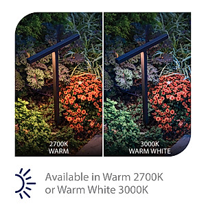 WAC Landscape Lighting, Balance LED 12V Path and Area Double Light 2700K Warm Built-in LED in Black