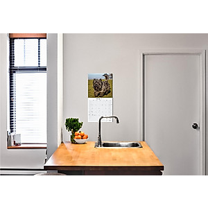 2023 2024 Cairn Terrier Calendar - Dog Breed Monthly Wall Calendar - 12 x 24 Open - Thick No-Bleed Paper - Giftable - Academic Teacher's Planner Calendar Organizing & Planning - Made in USA