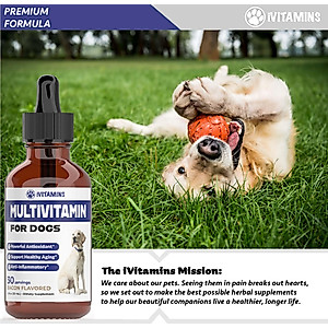 Multivitamin for Dogs | Dog Multivitamin | For Joint Support, Gut & Immune Health, Skin & Heart Health | Dog Vitamins and Supplements | Dog Vitamins Multivitamin | Dog Supplements & Vitamins | 1 fl oz