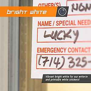 600 Shake Well Before Using Stickers, 0.4 x 1.7 Inch - Shake Well Before Label for Veterinary/Healthcare/Pharmacy/Medical Instruction Labels, Lt Blue - 2 Packs of 300 Medical Rx Labels