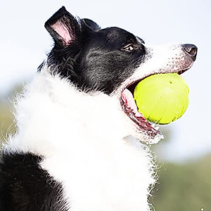 Nerf Dog Rubber Ball Dog Toy with Squeaker, Lightweight, Durable and Water Resistant, 4 Inch Diameter for Medium/Large Breeds, Single Unit, Green