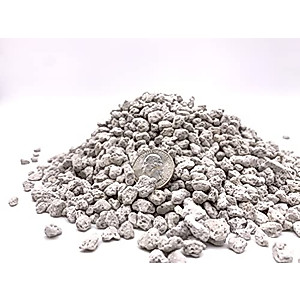Pumice for Bonsai, Succulent, Cactus | 2 Quarts Bag | 1/4” Particle Size | The Bonsai Supply