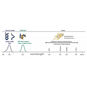 Portable UV-Vis Micro-Spectrophotometer (HMS-300)