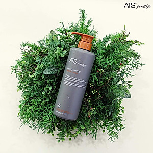 ATS Perstige Bresh Shampoo - 600ML, Oily Scalp and Soothing Silicone Free Shampoo