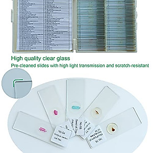 100 Microscope Slides with Specimens, Microscope Samples with Insects, Plants and Animals for Students Kids Science Learning, Suitable for Home School Use