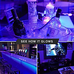 6 Pack BlueX LED MR16 Purple Light Bulb - 6W (50Watt Equivalent) - GU5.3 Bi-Pin Base 12V Purple LED Purple Bulb, Party Decoration, Porch, Home, Holiday Lighting, Decorative Illumination MR16 LED Bulb