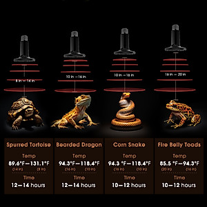 Ceramic Heat Emitter for Reptiles, 100W Heat Lamp Bulb, Ceramic Reptile Heat Bulb Black, No Light Emitting Heat Lamp for Amphibian Pet, Heat Bulb for Bearded Dragon Turtle Snake Lizard, 2 Pack