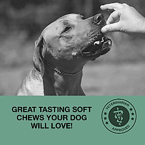 Nutriline Labs Calm EZ Calming Dog Chews - Calming Chews for Dogs with Chamomile, Melatonin & Ginger - Help Aid Stress Relief During Travel, Grooming, or Separation - Beef Flavor, USA Made, 60 Count