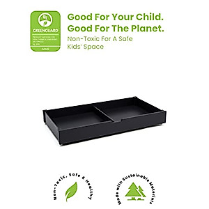 Delta Children Under Crib Roll-Out Storage - Greenguard Gold Certified, Midnight Grey