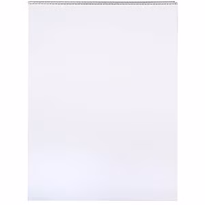School Smart - 85325 Chart Tablet, 24 x 32 Inches, Unruled, 25 Sheets