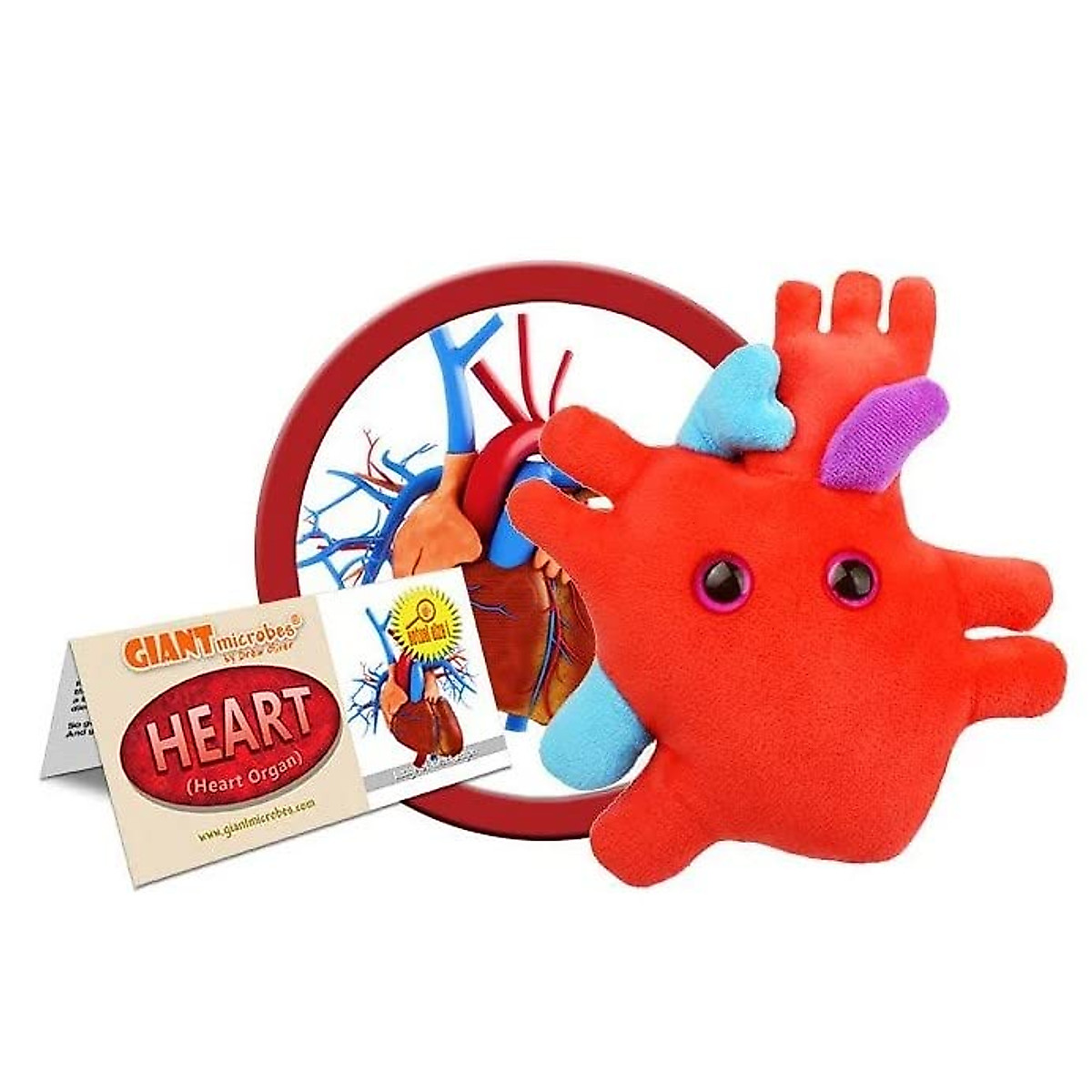GIANTmicrobes Heart Plush, Heart Stuffed Animal, Heart Transplant Gifts, Heart Toy, Anatomical Heart Gifts, Cardiologist Gifts, Cardiology Gifts, Open Heart Surgery Gifts, Heart Attack Survivor Gifts