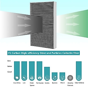 Lhari F1 Carbon Filter, Compatible with 3M Filtrete F1 Air Purifier C01 T02 FAP-C01-F1 FAP-T02-F1, Remove Allergen + Odor, 2-Pack