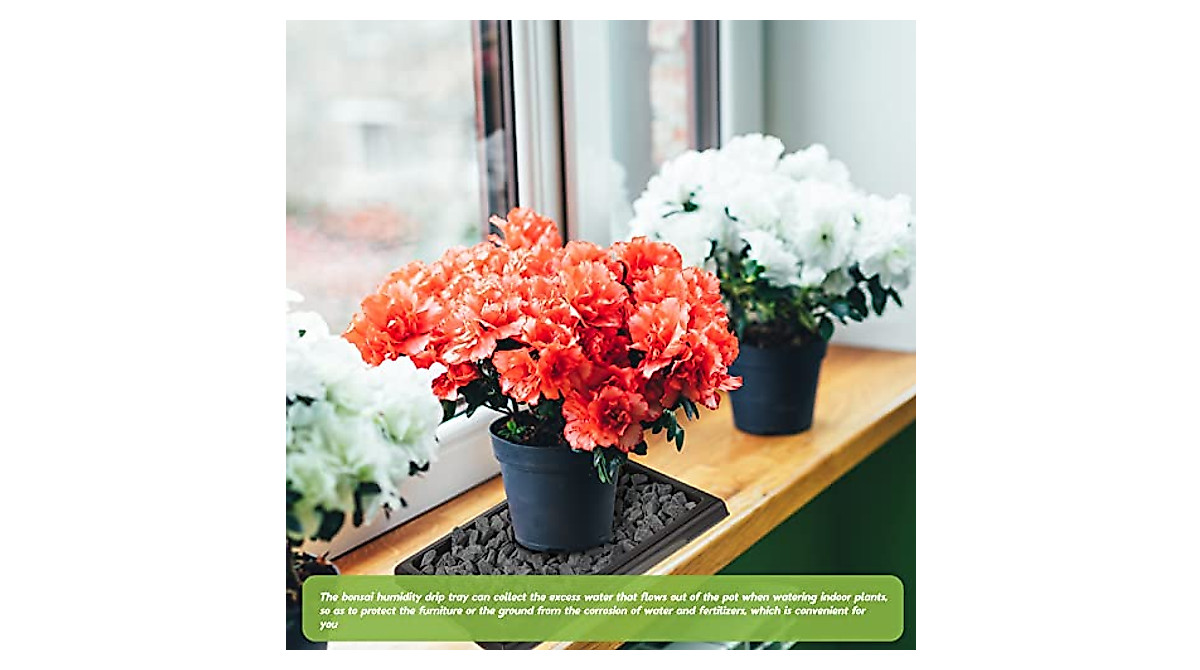 2 Pack Bonsai Humidity Tray 9 Inch Drip Tray Rectangular Plastic Plant ...