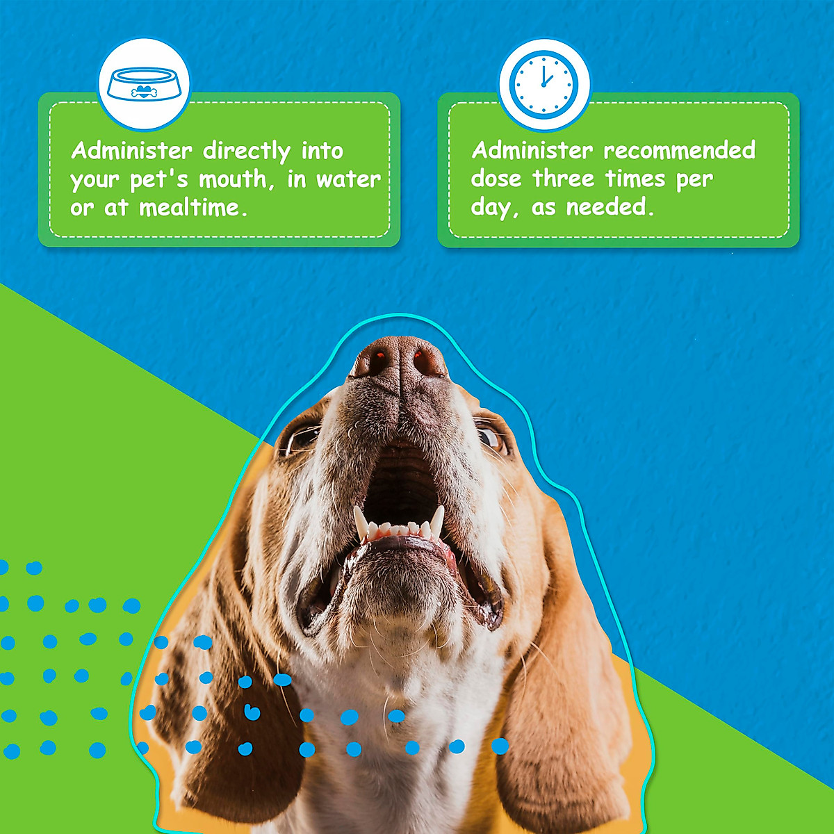 Nutrition Strength Digestive Care for Dogs, Natural Constipation Relief for Dogs and Puppies & Support for Diarrhea, Bloating, Bad Breath, Vomiting, Lack of Appetite, 60 Milliliters