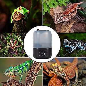 Evergreen Pet Supplies Reptile Humidifier/Fogger - 4L Tank - New Digital Timer - Add Water from Top! for Reptiles/Amphibians/Herps - Compatible with All Terrariums and Enclosures