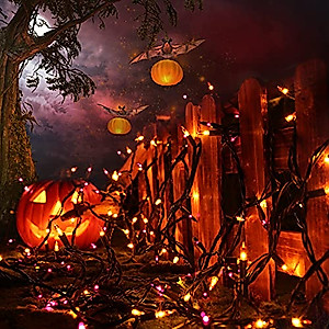 Toodour Orange & Purple Halloween Lights, 77ft 300 Count Incandescent Halloween String Lights, UL Certified Connectable Mini Bulbs Halloween Lights for Indoor, Outdoor, Garden, Porch, Halloween Decor