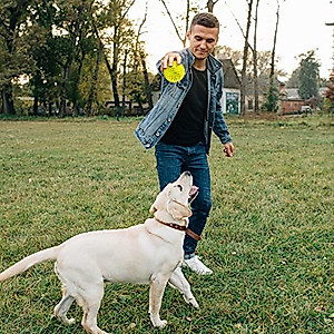 VITEVER 3.5” Squeaky Dog Toy Balls (6 Colors) Puppy Chew Toys for Teething, BPA Free Non-Toxic, Spikey Dog Balls for Medium, Large & Small Dogs, Durable Dog Toys for Aggressive Chewers