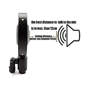 Antique Vintage Classic Cinema Theater Auditorium Speech Live Vocal 25mm Big Diaphragm Condenser Microphone